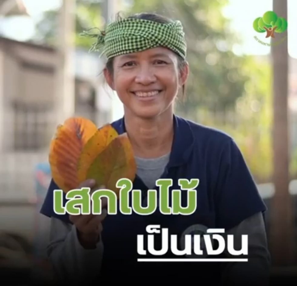 Pyramid Composting - Asian Healing Arts Center